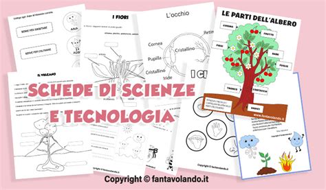Le Schede Didattiche Di Fantavolando Per La Scuola Primaria Scienze E