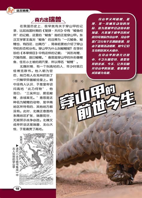 穿山甲的前世今生 中国数字科技馆