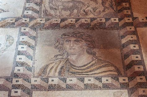 Mosaic In Paphos Archaeological Park In Cyprus Editorial Photo Image