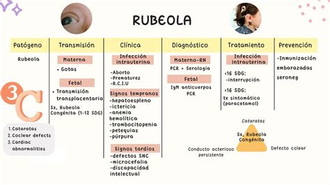 Rubeola Jasive Flores UDocz