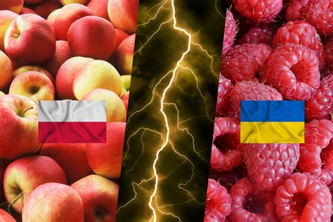 Ile produktów rolno spożywczych wjechało z Ukrainy do Polski