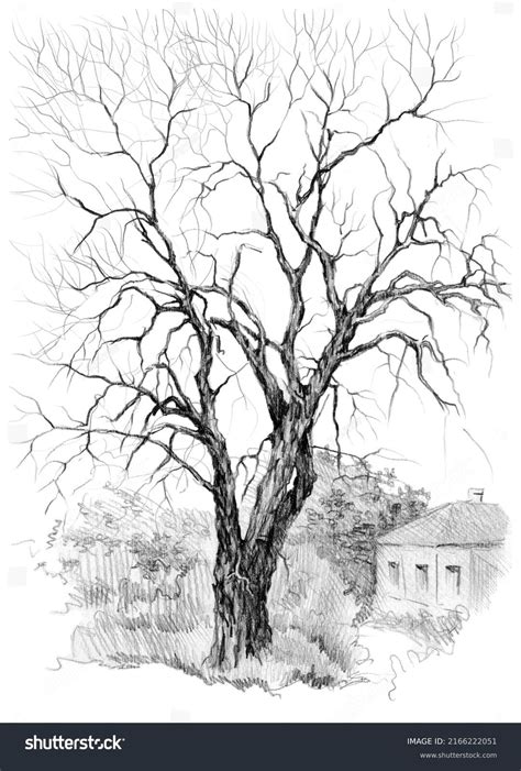 Pencil Drawing Of Nature Wholesale Enjoy Deborahsilvermusic