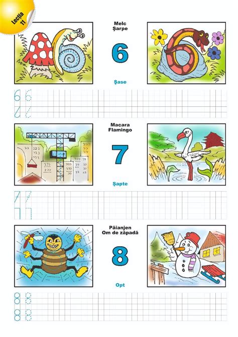 Alfabetul Si Cifrele Exercitii Grafice 2in1 Joc Carte De Colorat A4