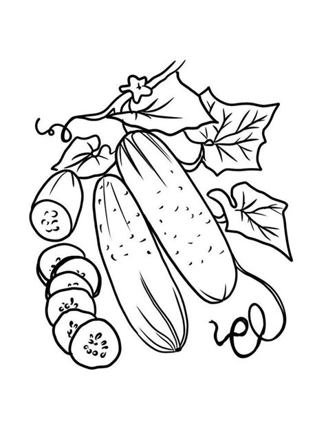 25 Desenhos De Pepino Para Imprimir E Colorir Pintar