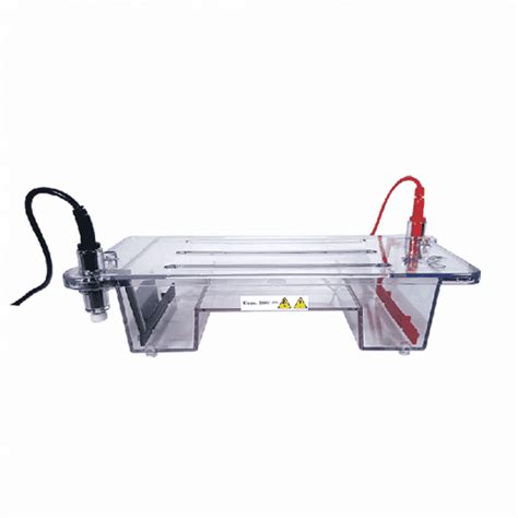 Cámara de electroforesis horizontal archivos Fermelo Biotec