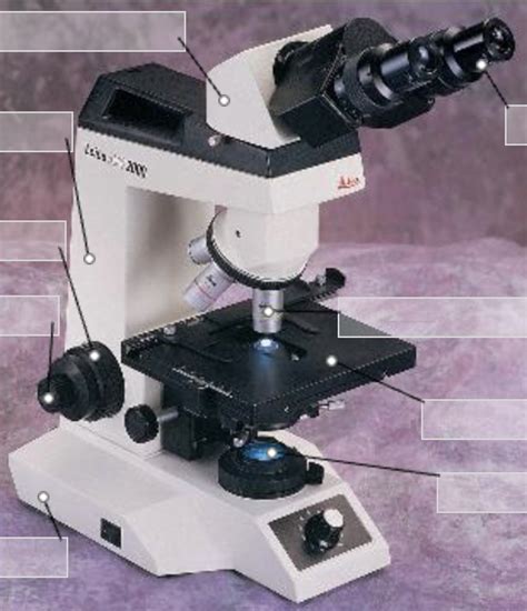 Lab Midterm Microscope Diagram Quizlet