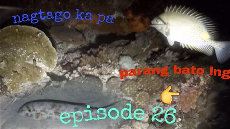 Ep 26 Nightspearfishingphilippines Pamamana Sa Gabi Ang Daming Danggit