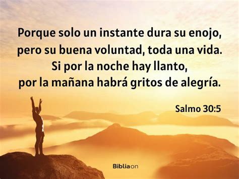 La Perdida De Un Ser Querido Cita La Biblia