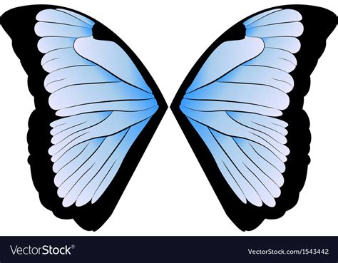 145 Butterfly Wings Svg SVG PNG EPS DXF File