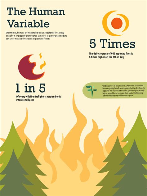 Forest Fires Infographic On Behance