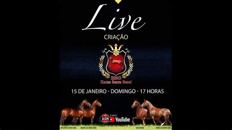 Live Haras Serra Geral Youtube