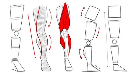 Tips On How To Draw Leg Anatomy Tutorial Ram Studios Comics The