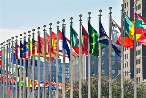 D A De Las Naciones Unidas A Os Luchando Por La Paz Instituto