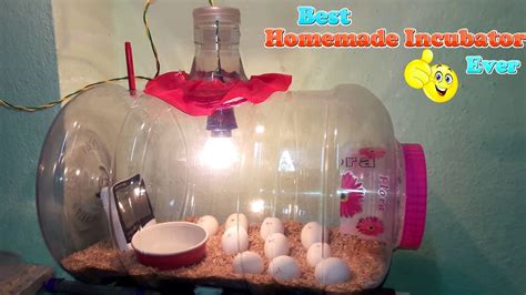 DIY Homemade Incubator Egg Incubator Results Hatching Eggs YouTube
