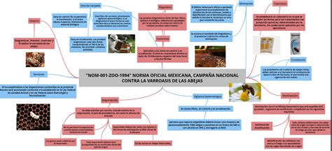 NORMAS OFICIALES MEXICANAS Final Mind Map