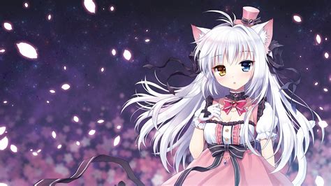Tapety ilustracja Nekomimi białe włosy Anime Dziewcząt anime