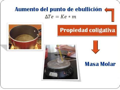 orgánico articulo Percepción el punto de ebullicion es Desenmarañar