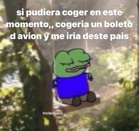 Pin De Maritza Alvarez En Facebook Humor De La Vida Frases Tontas