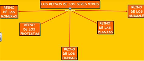 CIENCIAS NATURALES ESO EL REINO VEGETAL O DE LAS PLANTAS