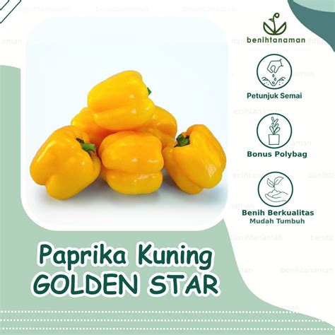 Jual 2 Biji Benih Paprika Kuning Golden Star Shopee Indonesia