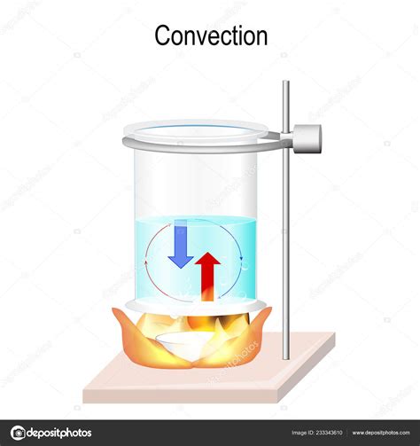 Convección Transferencia Calor Dentro Los Fluidos Advección Difusión