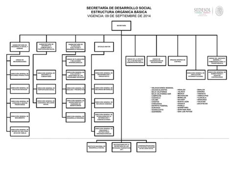 ESTRUCTURA ORGÁNICA BÁSICA