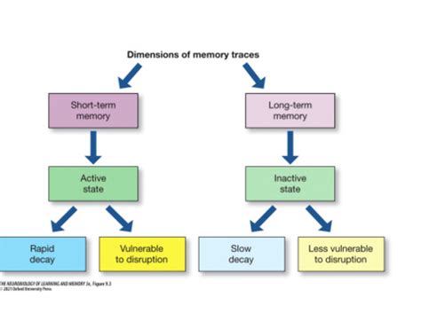 Week Conceptual Issues Methodologies Flashcards Quizlet