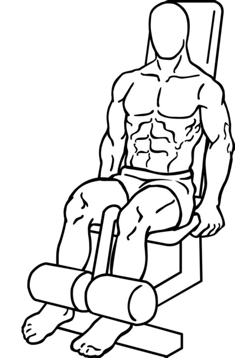 Programme prise de masse femme 3 séances pour prendre du muscle