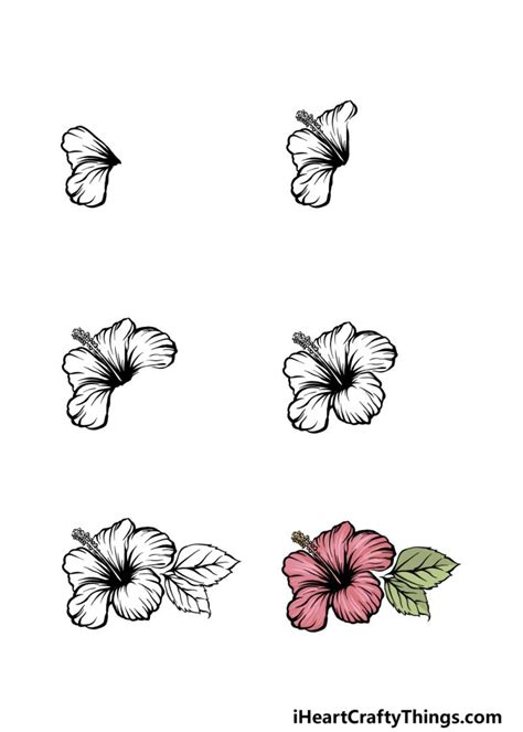 Hibiscus Drawing How To Draw A Hibiscus Step By Step