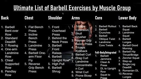 70 Barbell Exercises List By Muscle Group With PDF The Fitness Phantom