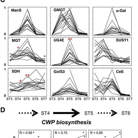 A Significant Correlations Between Gene Transcript Abundance