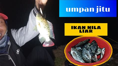 Mancing Mania Umpan Jitu Mancing Ikan Nila Liar Di Malam Hari Youtube
