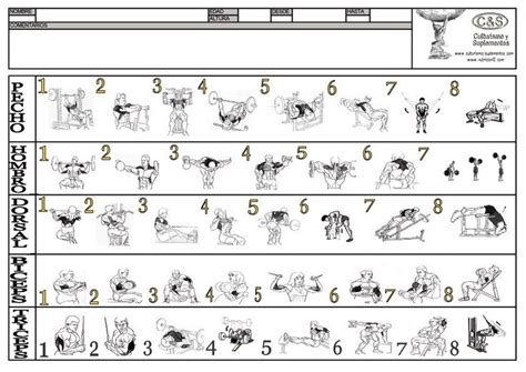 Rutina Plantilla De Entrenamiento Ejercicios Gimnasio Entrenamiento