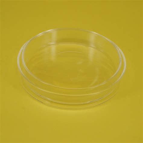 60 200mm Borosilicate Glass Petri Culture Dish With Lids For Lab