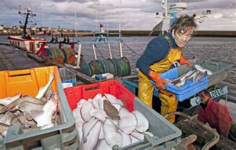 Les pêcheurs les quotas de poissons et le consommateur Observatoire