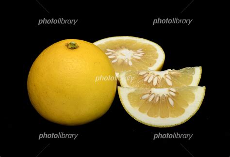 国産のオロブランコスウィーティー 写真素材 6994596 フォトライブラリー photolibrary