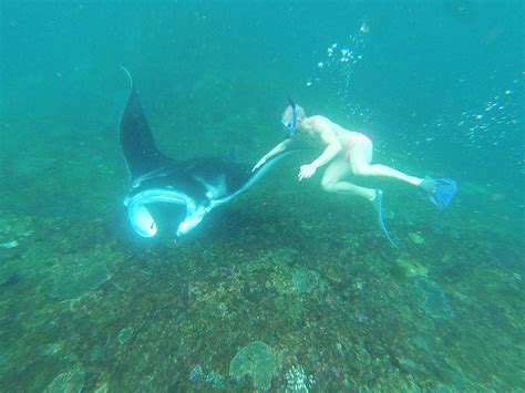 Nusa Penida Snorkeling Trip With Private Boat Aha Bali