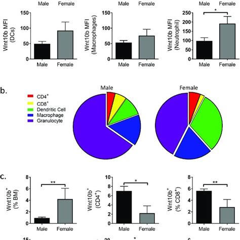 Regulation of female C57BL 6 bone marrow Wnt10b expression by TNFα