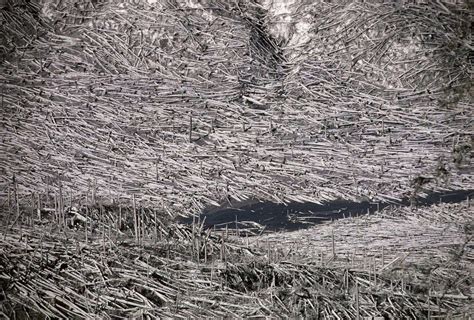 Horrifying Photos From The Mount St Helens Eruption And Aftermath