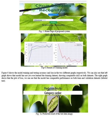 Automatic Detection Of Citrus Fruit And Leaves Diseases Using Deep
