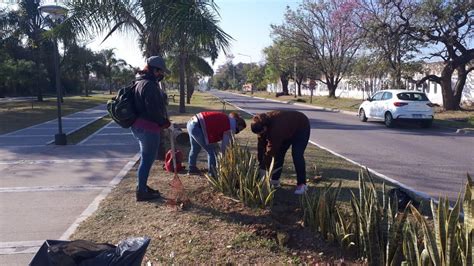 El Municipio continúa con las tareas de parquización y embellecimiento