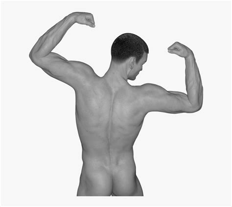 Man Muscles Act Naked Erotic Sexy Figure Niveis De Organiza O