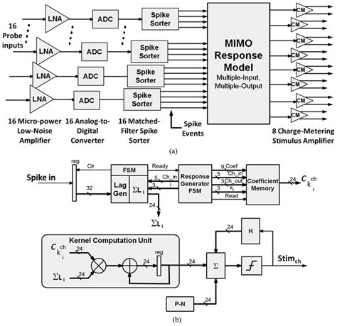 vlsi design of the hippocampal prosthesis a functional block diagram download scientific