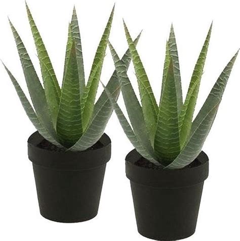 2x Aloe vera artificiel vert en pot 23 cm Plante d intérieur aloe
