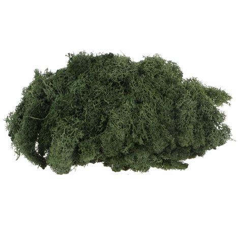 Naturalny Suszony Mech Reniferowy Niska Cena Na Allegro Pl