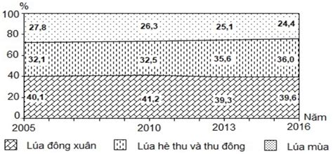 Hướng dẫn cách vẽ biểu đồ miền trong địa lý và phân tích địa hình