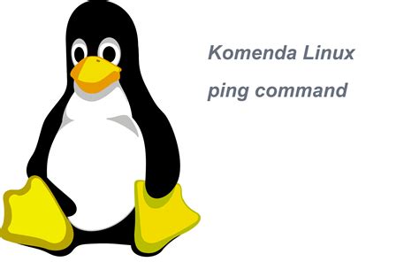Komenda Linux Ping Command ITTalk Pl