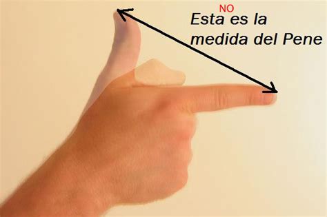 Luego de medir 15 mil penes sabemos el tamaño promedio Disorder cl