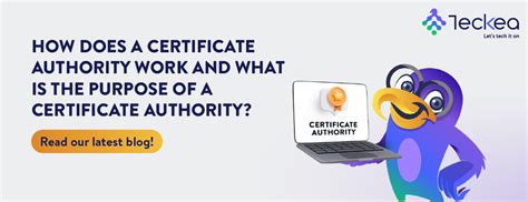 How Does A Certificate Authority Work And What Is The Purpose Of A