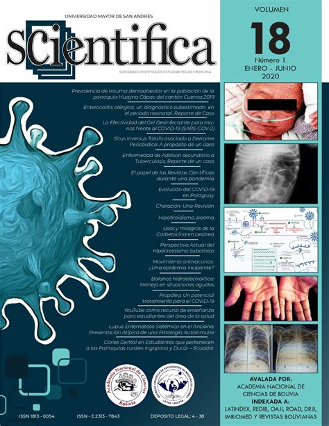 Revistas